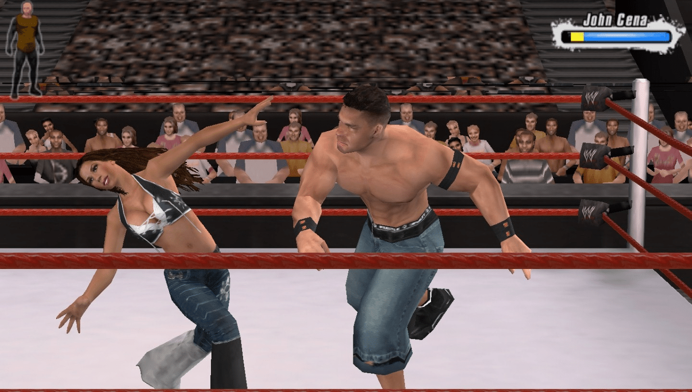 WWE Smack Down VS Raw 2009 (PSP) - Appleby Games