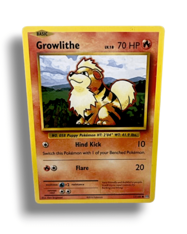 POKEMON TCG - Growlithe 17/108 Evolutions - Appleby Games